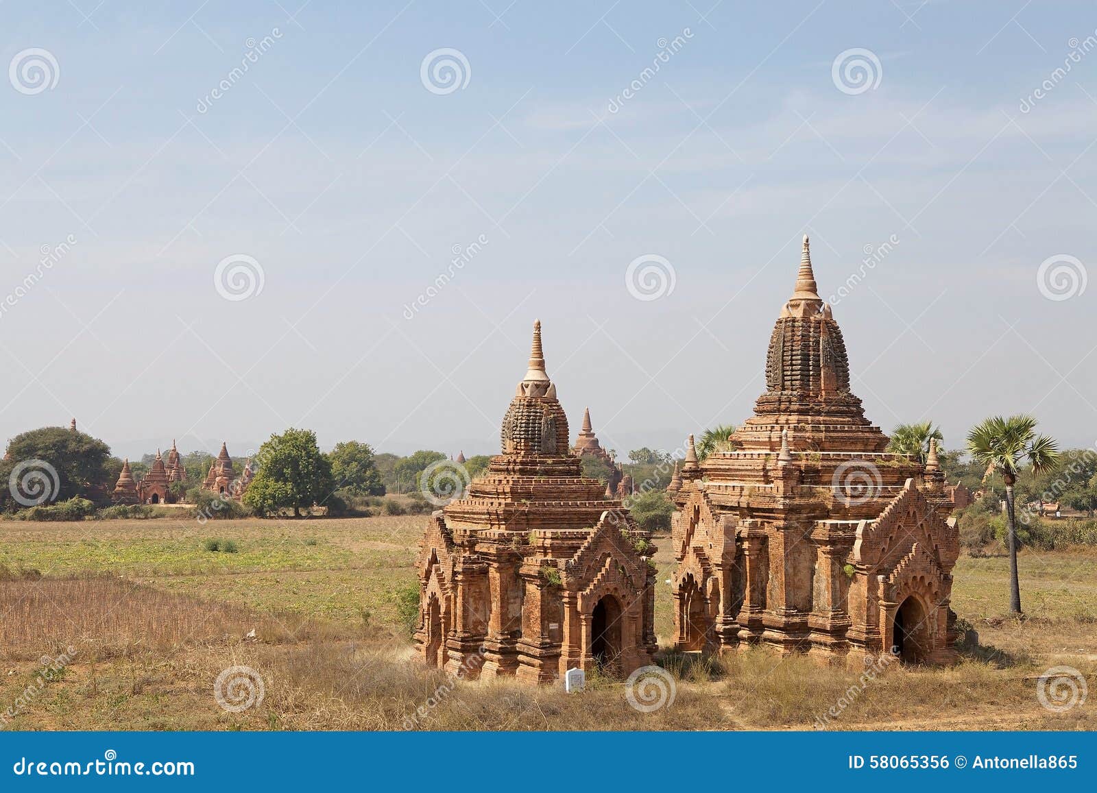 Ruins of Bagan, Myanmar stock photo. Image of forest - 58065356