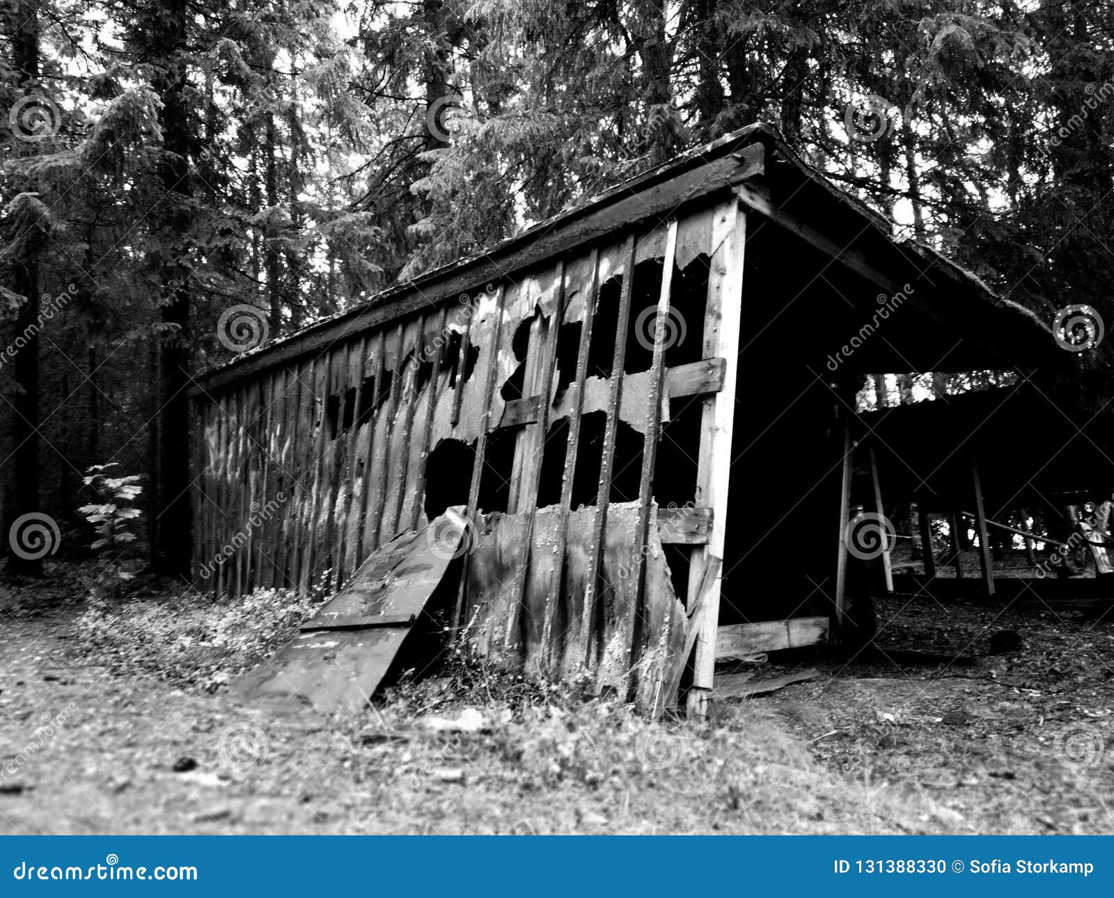 Ruins stock photo. Image of ruins, ruined, blackwhite - 131388330