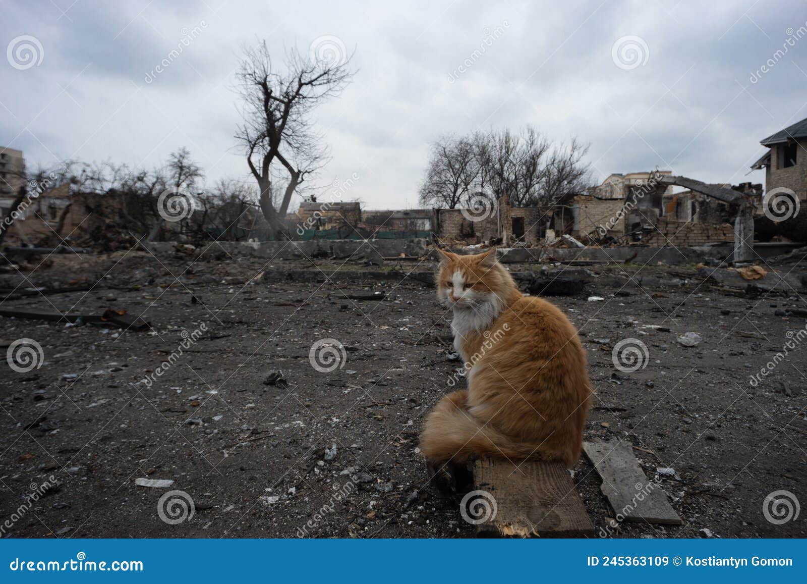 Ruins of Bucha editorial stock image. Image of city - 245363109