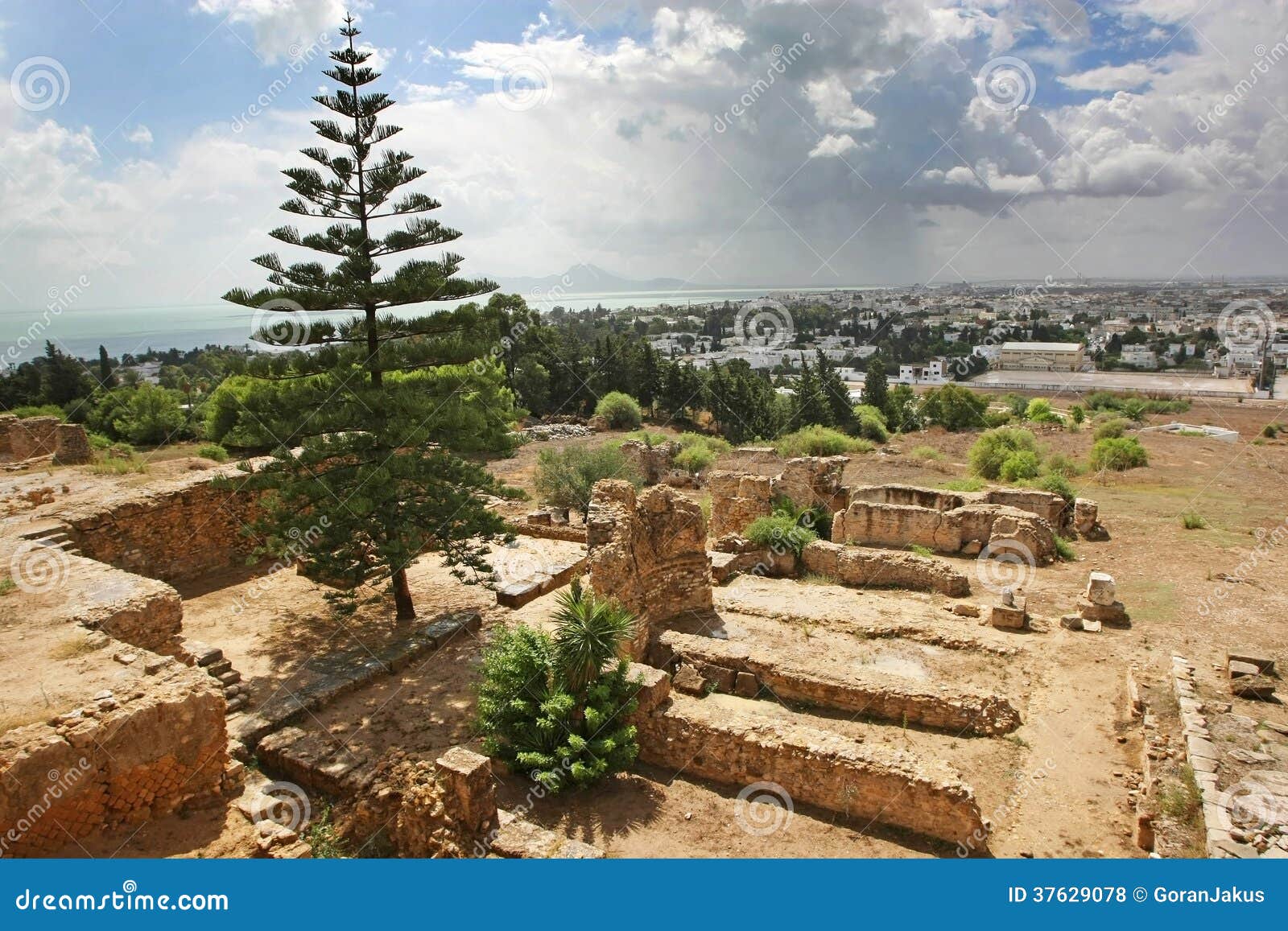 Ruins of Carthage stock photo. Image of north, ancient - 37629078