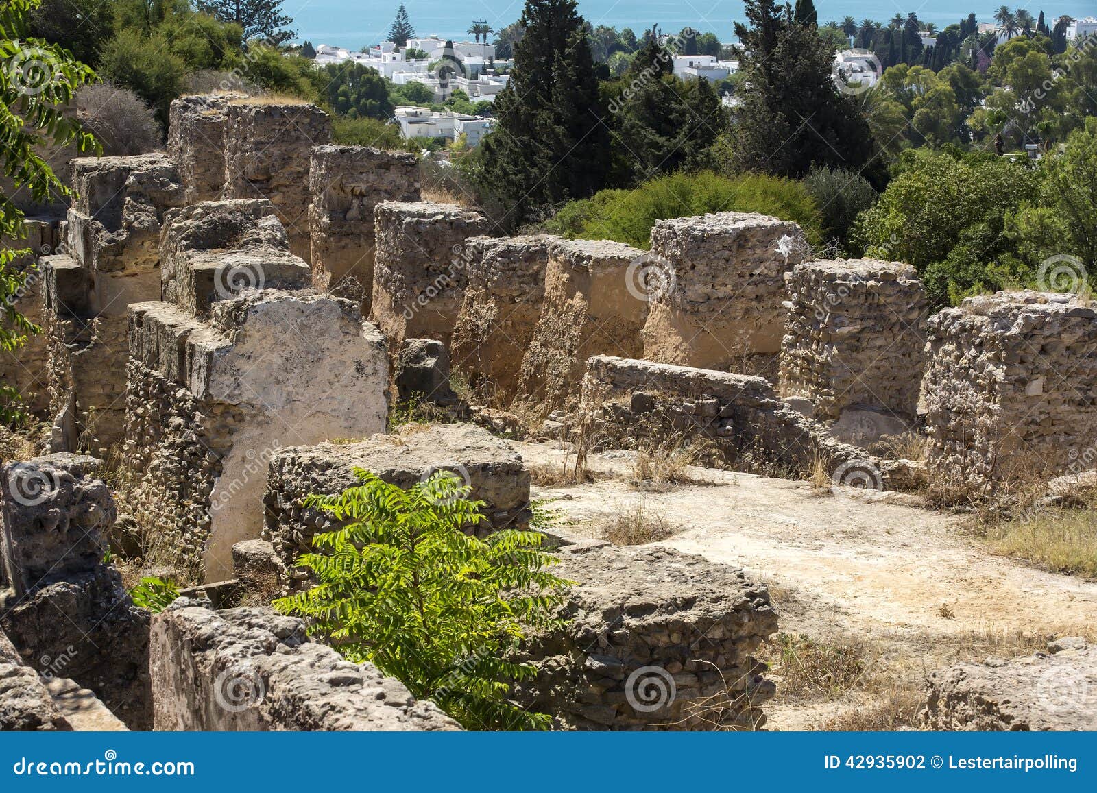 Ruins of Carthage stock photo. Image of afrique, antique - 42935902