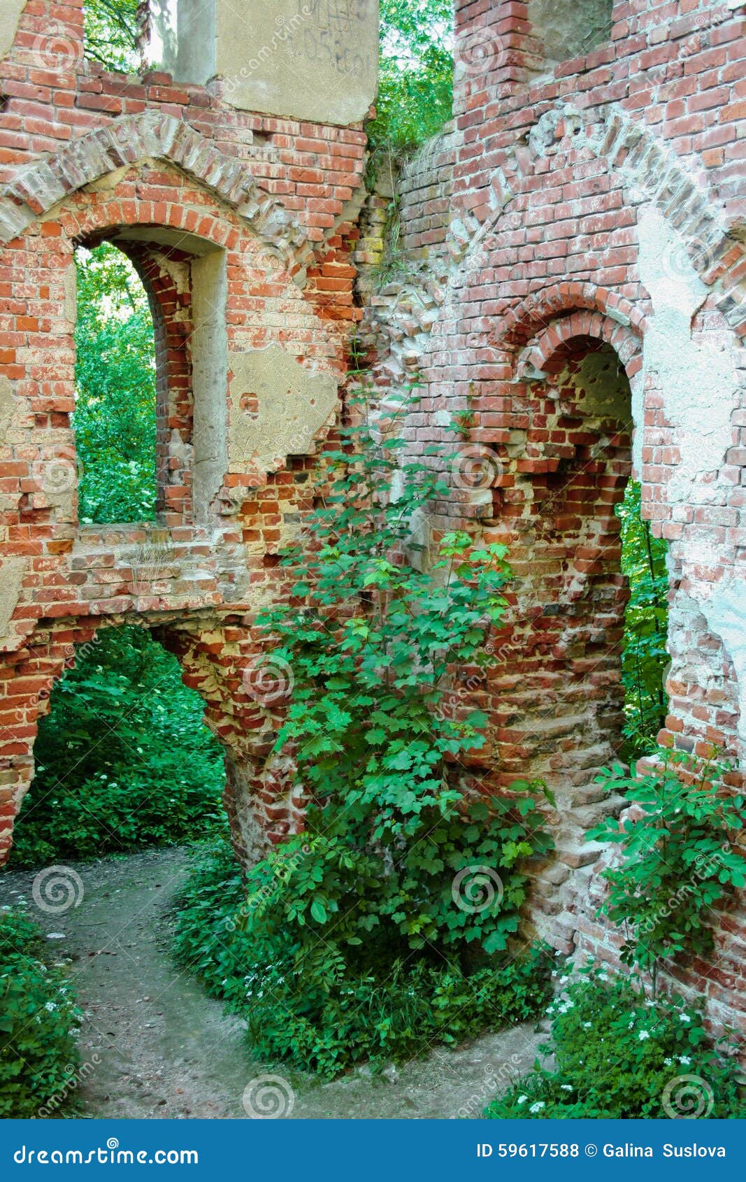 The Ruins of the Castle Balga Stock Photo - Image of castle, mysterious ...