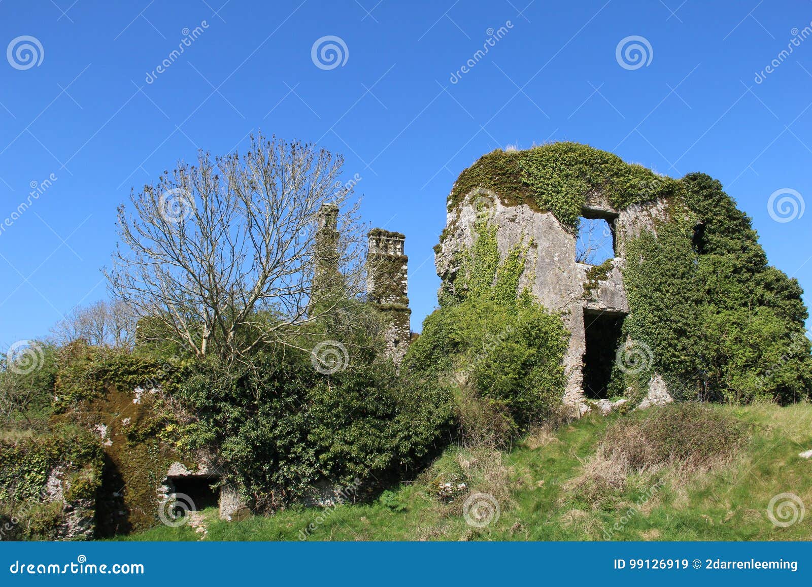 Ruins of Castle Lyons in Castlelyons, Ireland Stock Image - Image of ...