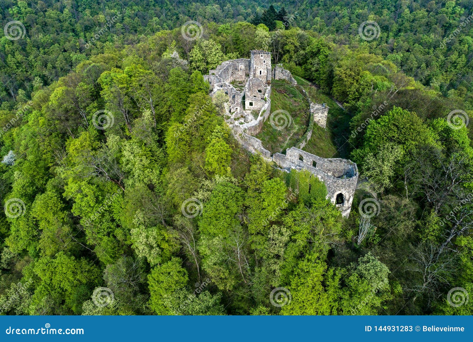 The Ruins of a Castle on a Mountain Covered by Forest. Stock Image ...