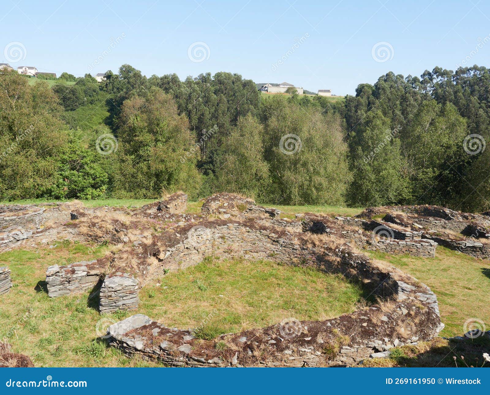 Ruins of a Castle Near a Forest Stock Photo - Image of ruins ...