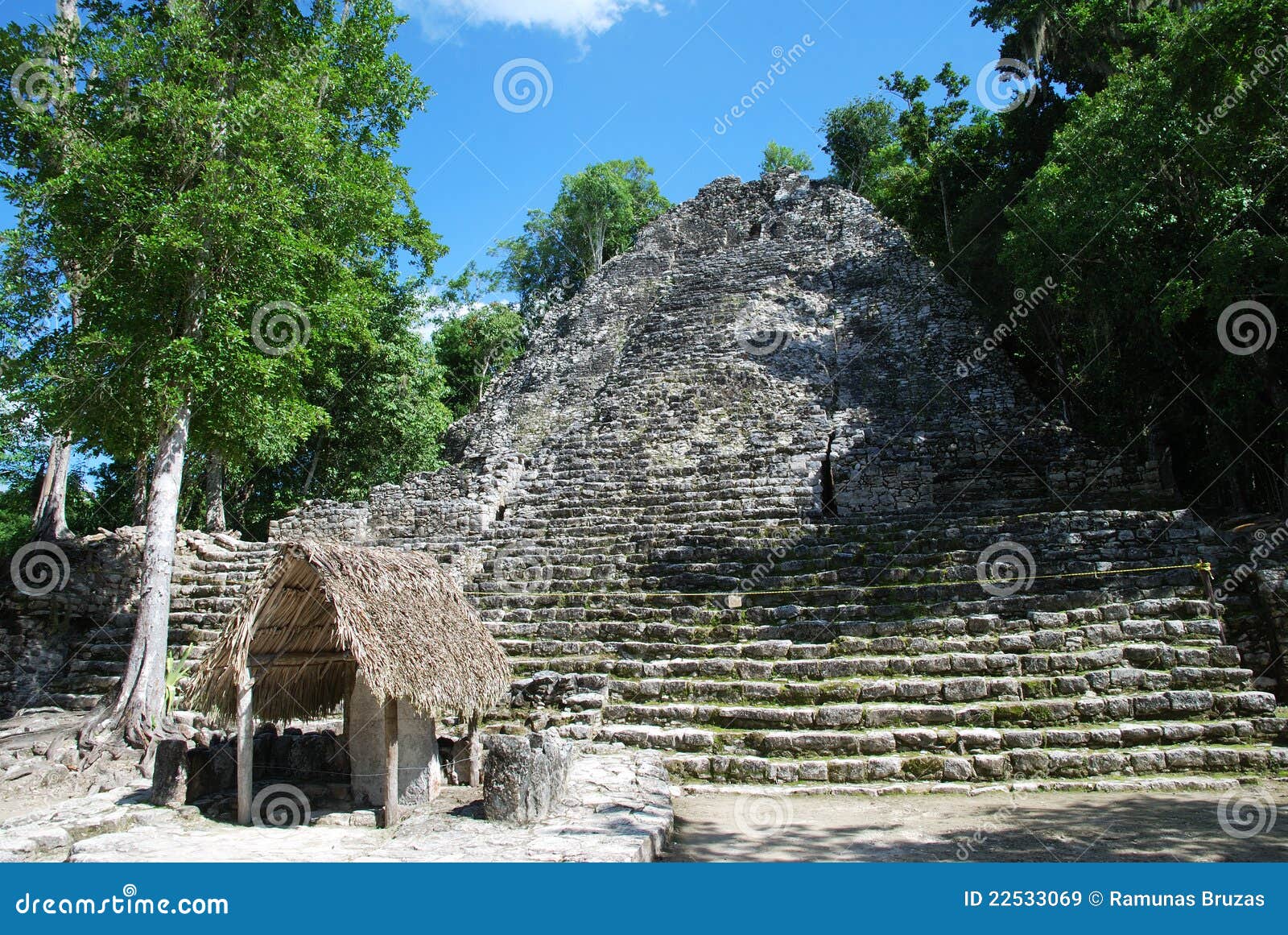 Ruins of Coba stock image. Image of archaeological, mexico - 22533069