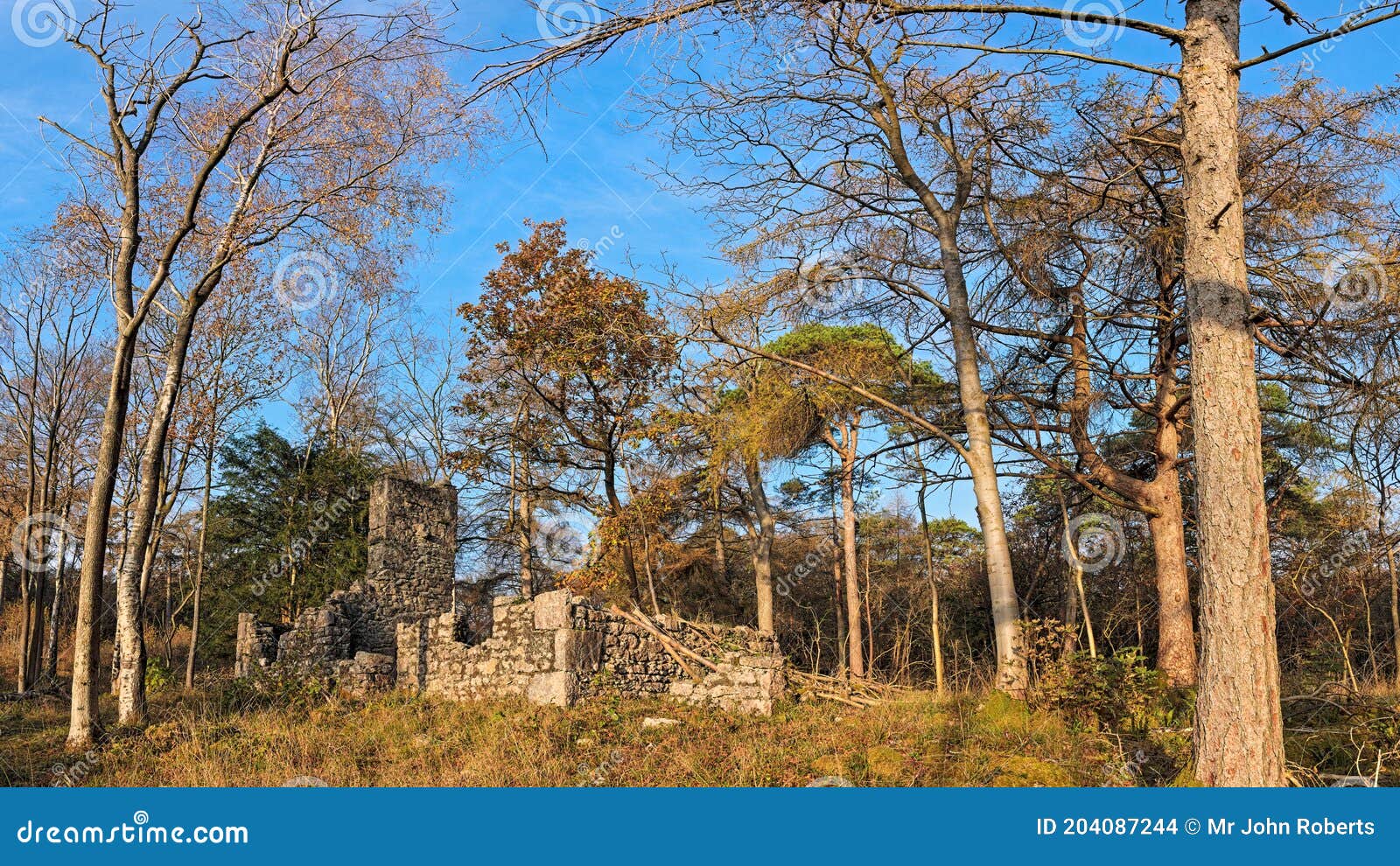 Ruins of Cottage, Eaves Wood Stock Photo - Image of european, eaves ...