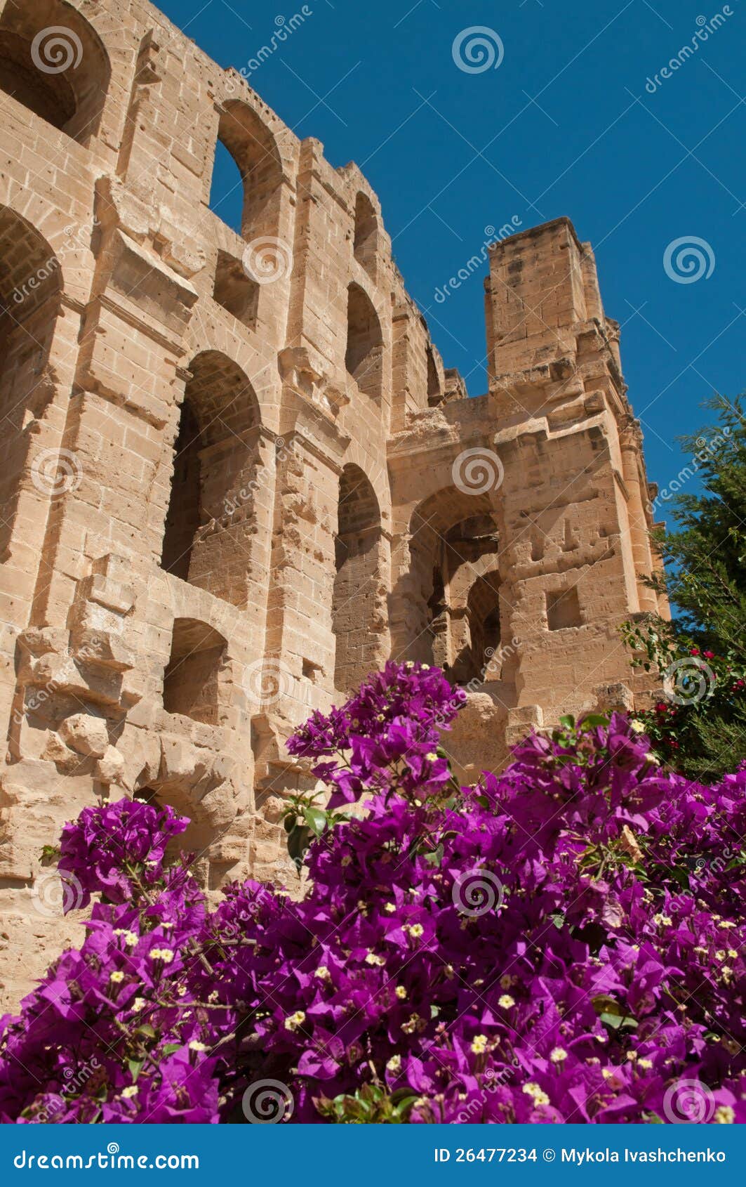 Ruins with flowers stock photo. Image of ancient, historical - 26477234
