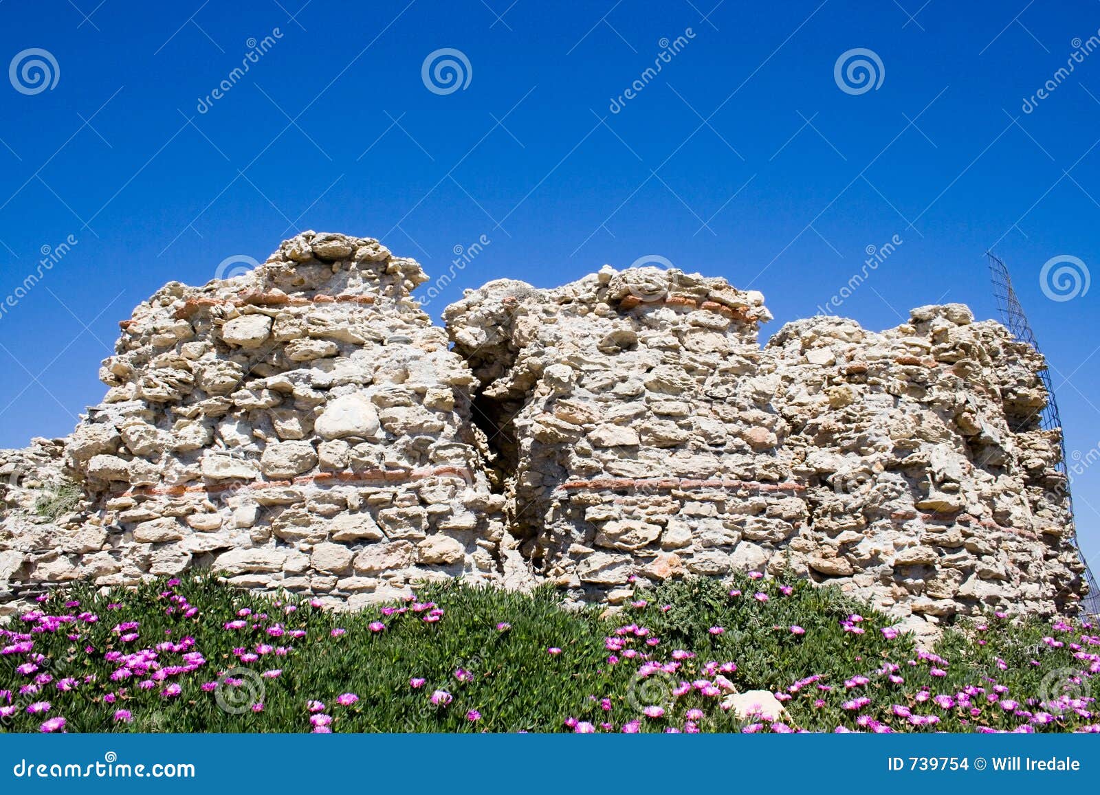 Ruins and Flowers stock photo. Image of falling, nature - 739754