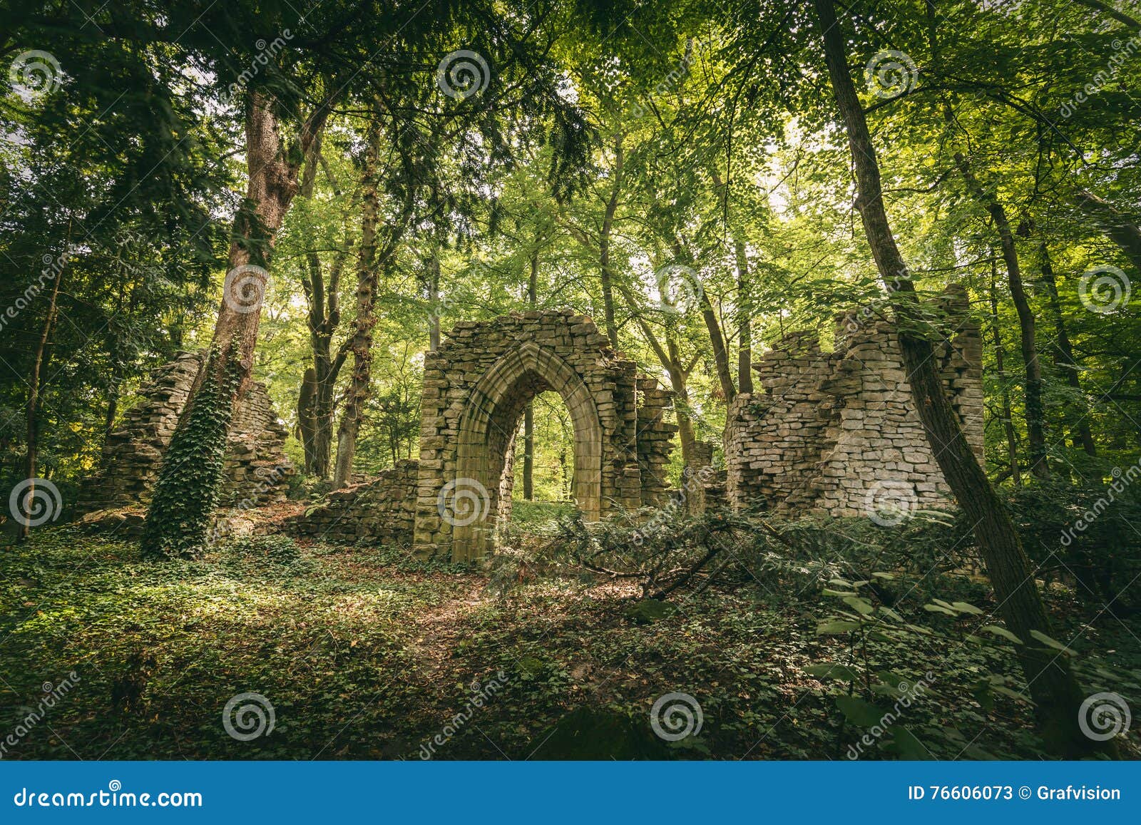Ruins in the forest stock image. Image of woodland, stone - 76606073