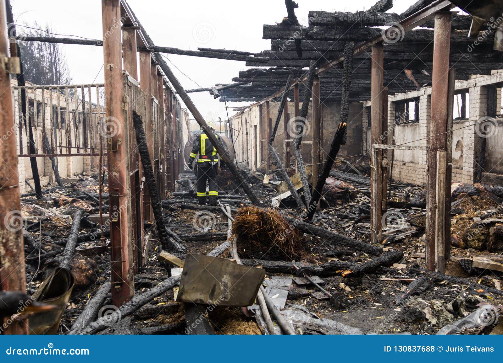 The Ruins of a Fully Burned Farm in Latvia on October Stock Photo ...