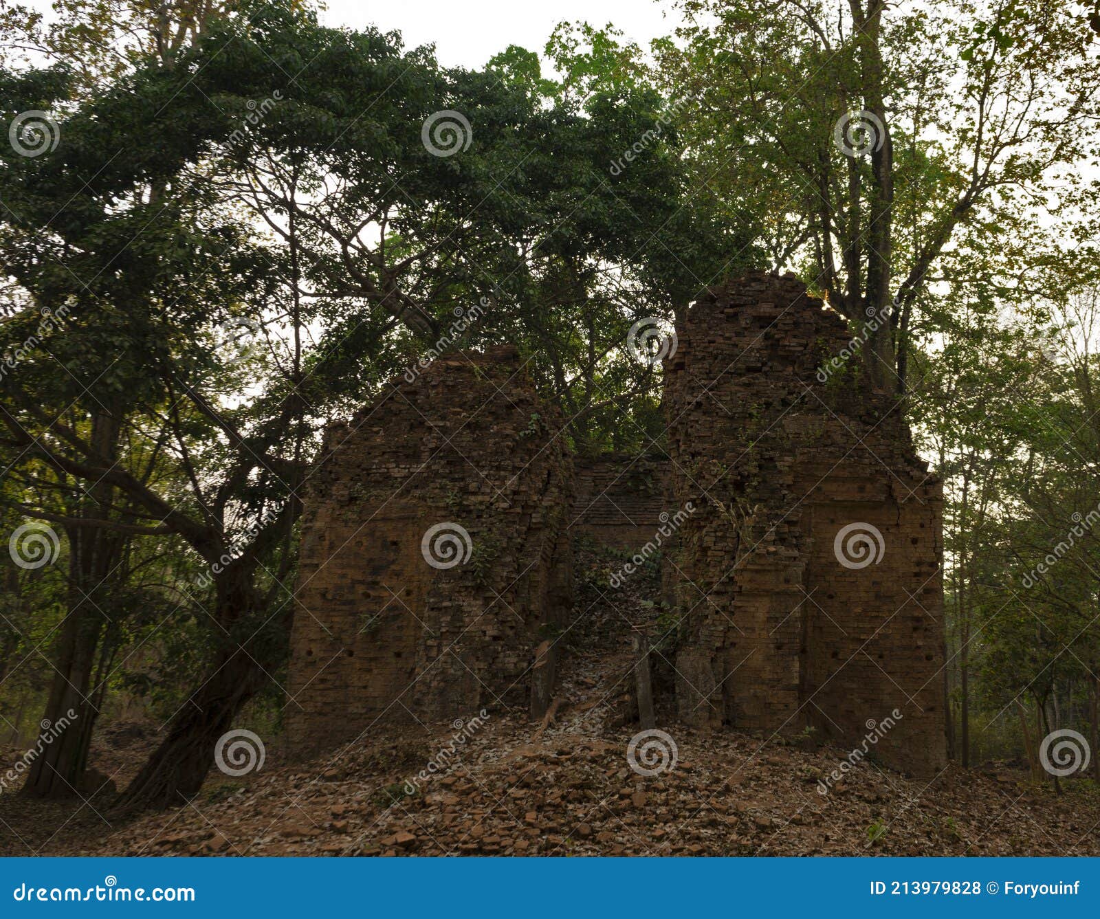 Ruins of Goal Kampong Tom Wat Temple with Root of Trees in Forest ...