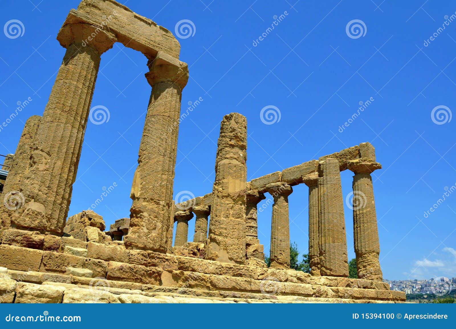 Greek Temple At Paestum Italy With Background Pine Stock Photography ...