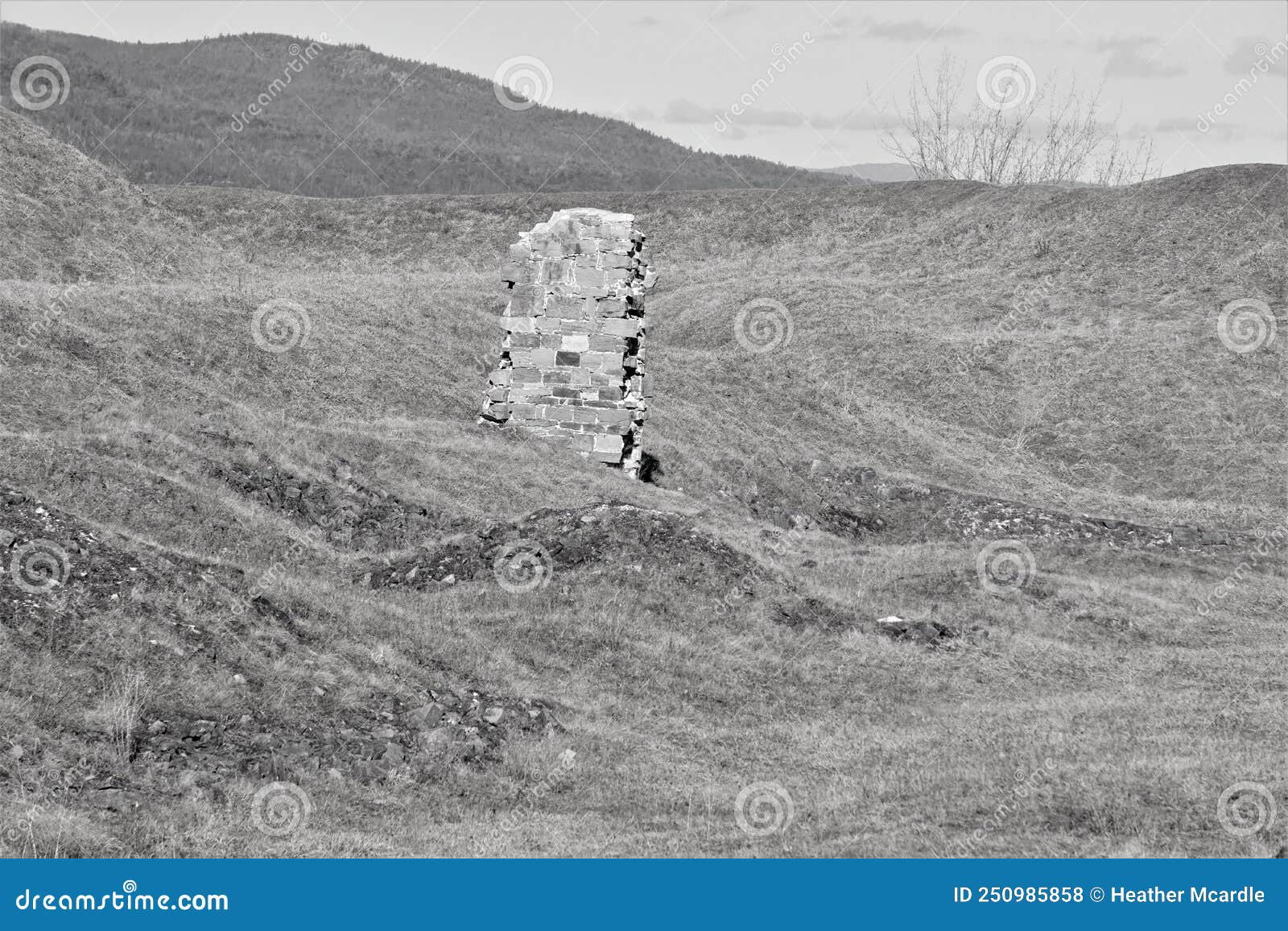 Black and White Engineered Stone Pillar on Grassed Over Mounds Stock ...