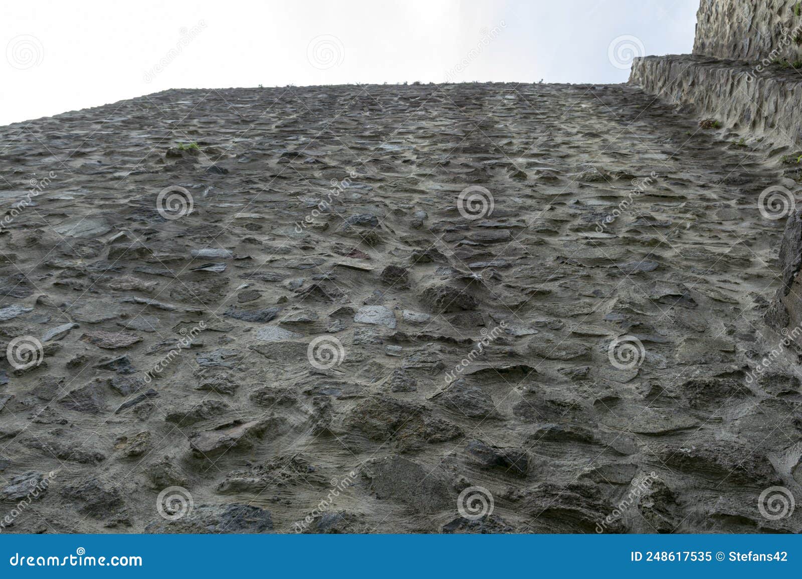 Ruins of the Levice Castle. Levicky Hrad, Slovakia Stock Image - Image ...
