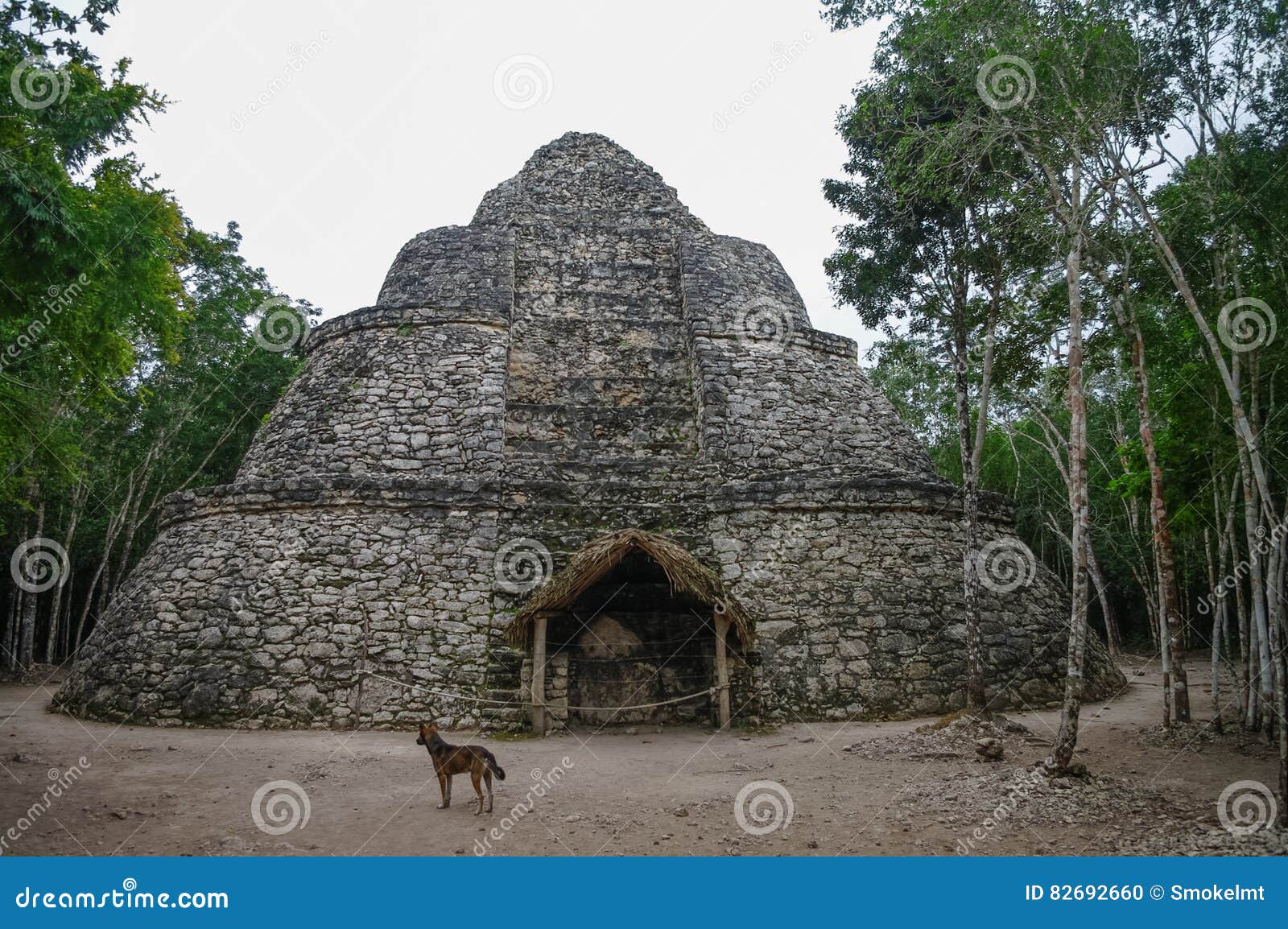 Ruins of Mayan Pyramid in Coba. Stock Photo - Image of mexico, ruins ...