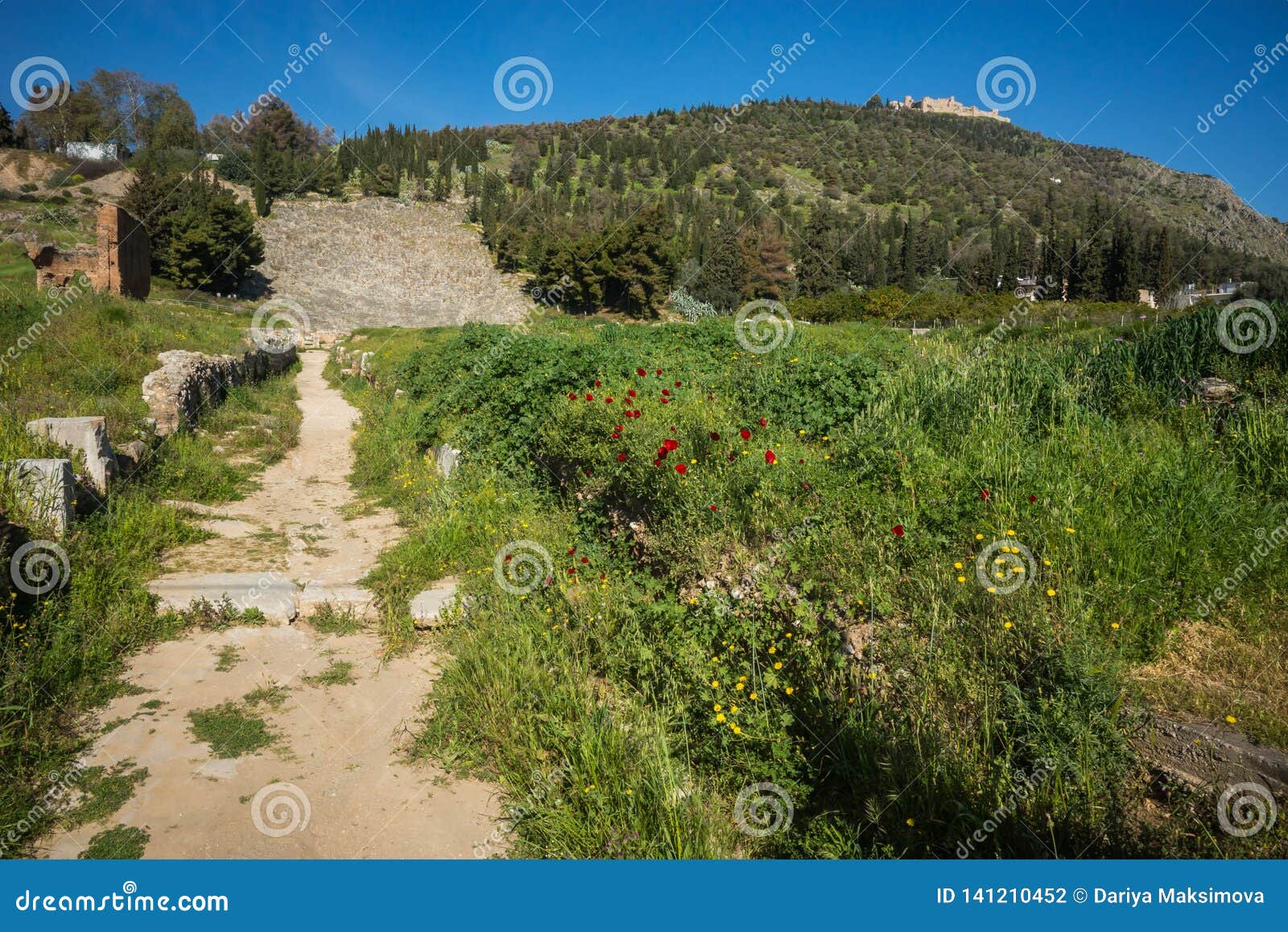 Ruins of Medieval Castle in Argos on Peloponnese in Greece Stock Photo ...