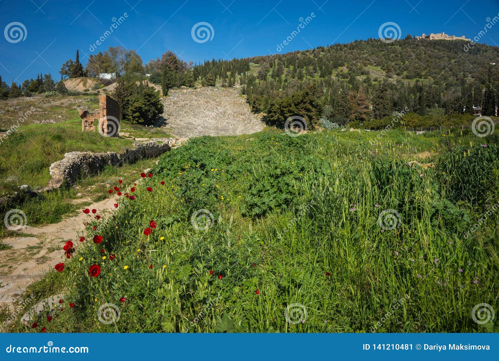 Ruins of Medieval Castle in Argos on Peloponnese in Greece Stock Image ...