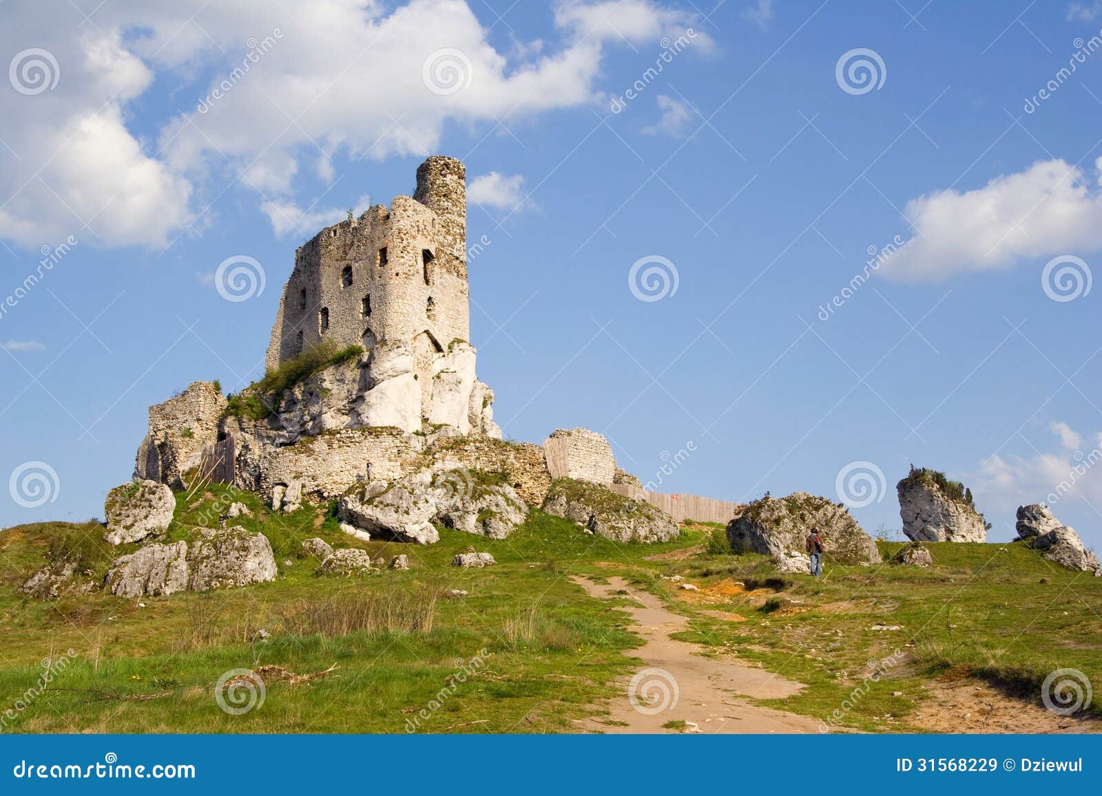 Ruins of Medieval Castle Mirow in Poland Stock Image - Image of mirow ...