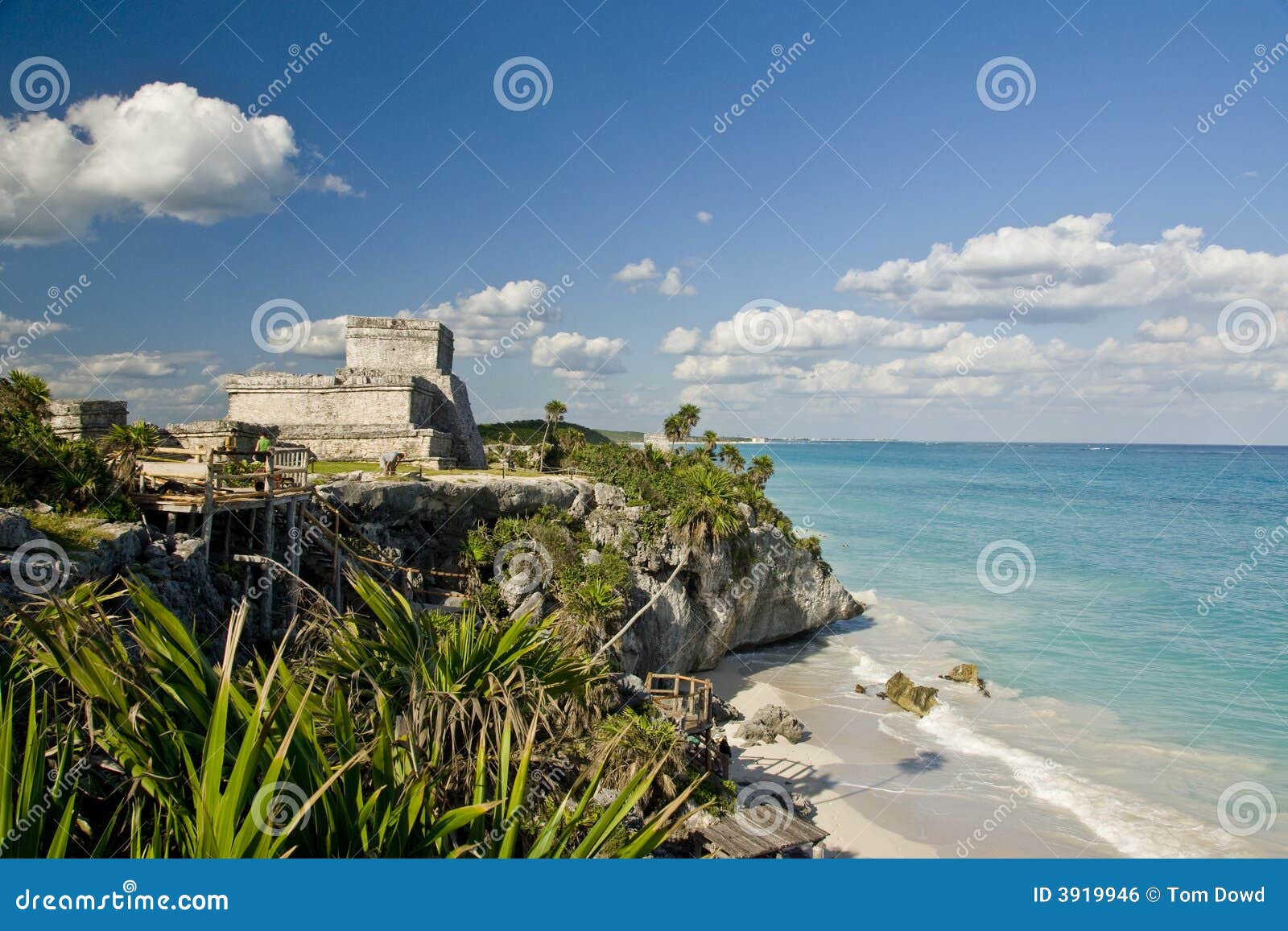 Ruins on Mexican coast stock photo. Image of natural, mexico - 3919946