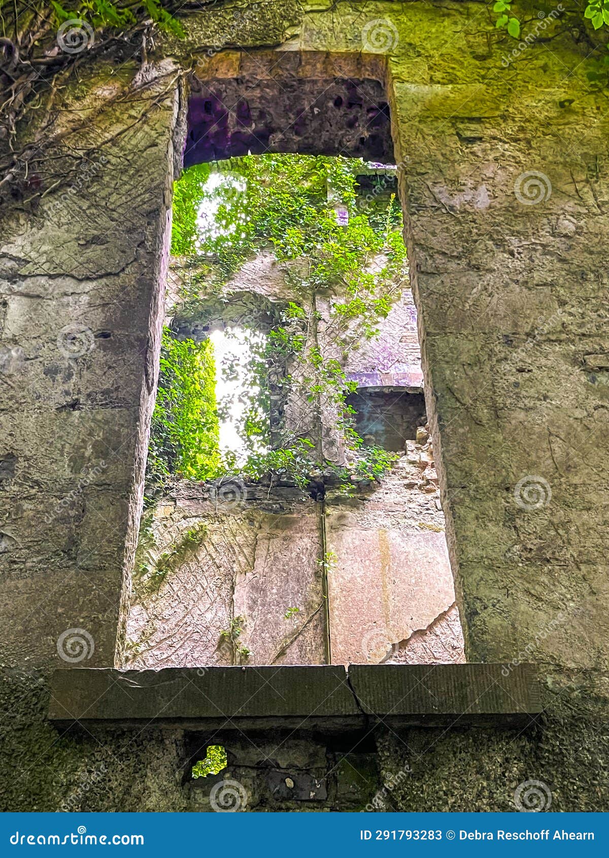 Ruins of Moore Hall County Mayo Ireland Stock Image - Image of 1923 ...
