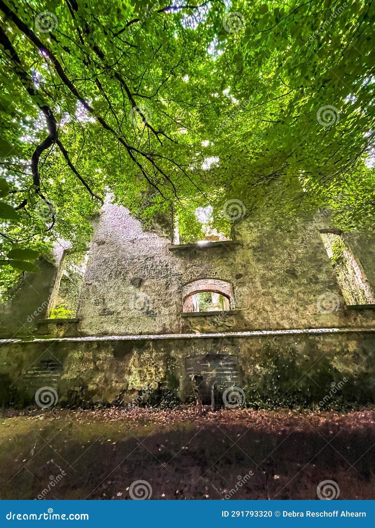 Ruins of Moore Hall County Mayo Ireland Stock Photo - Image of 1792 ...
