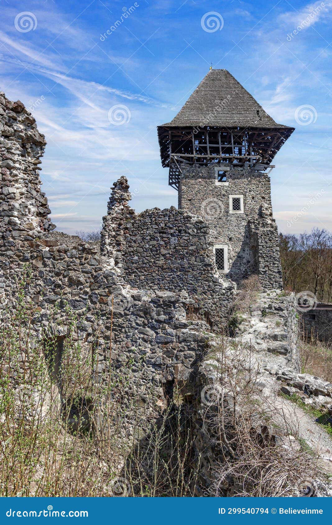 Ruins of Nevitsky Castle. Ukraine. Stock Photo - Image of fort, ruins ...