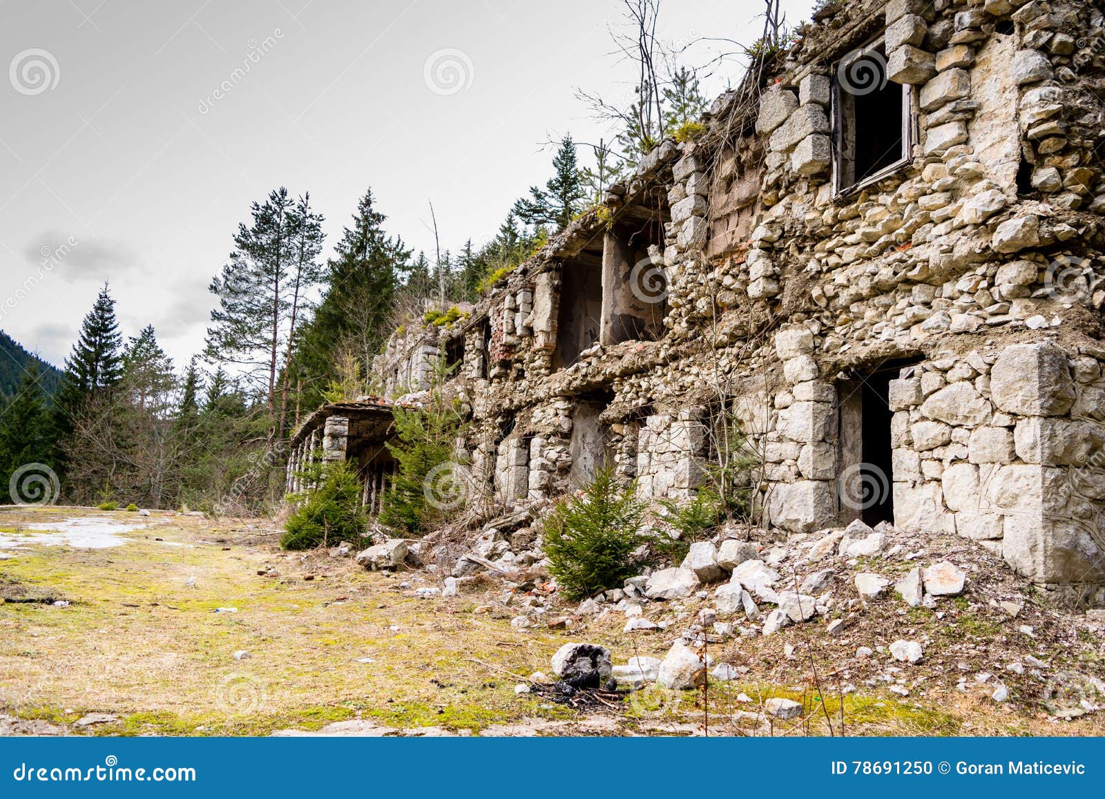 Ruins of Old Building in Forest Surrounded with Trees Stock Photo ...