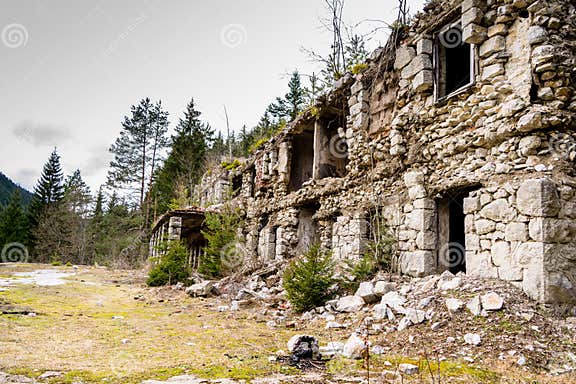 Ruins of Old Building in Forest Surrounded with Trees Stock Photo ...