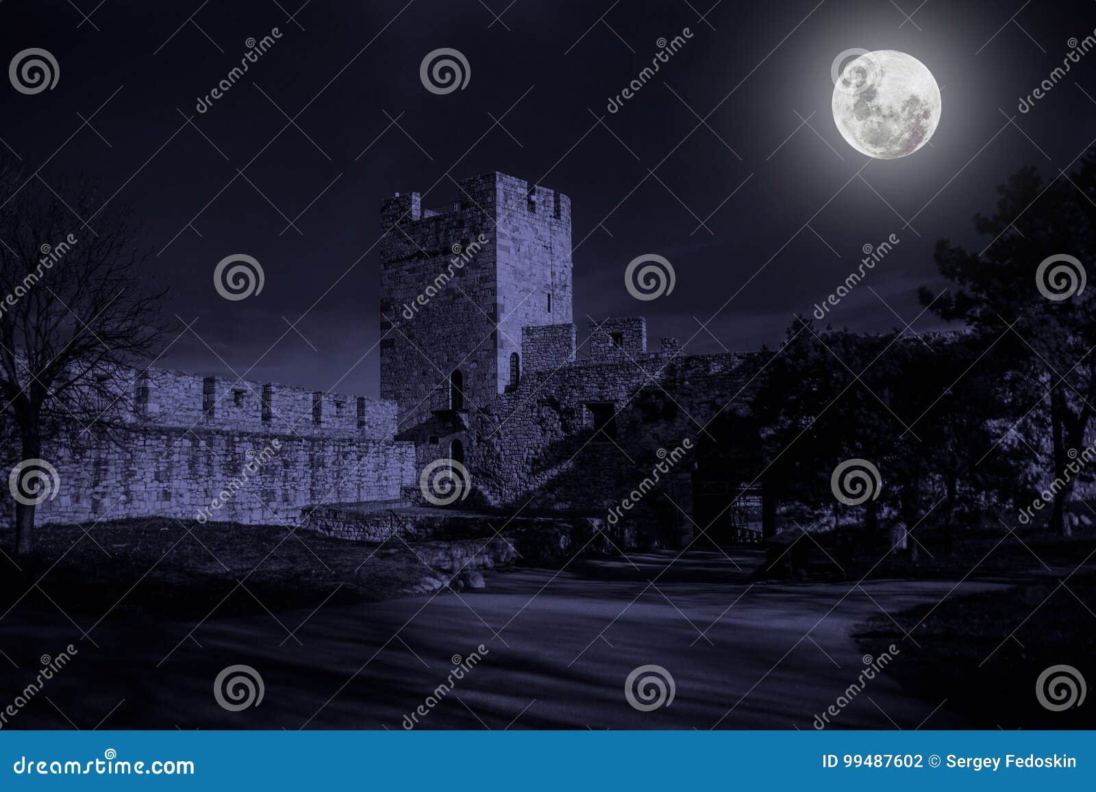 Ruins of Old Castle in Mystery Moonlight. Stock Photo - Image of blue ...