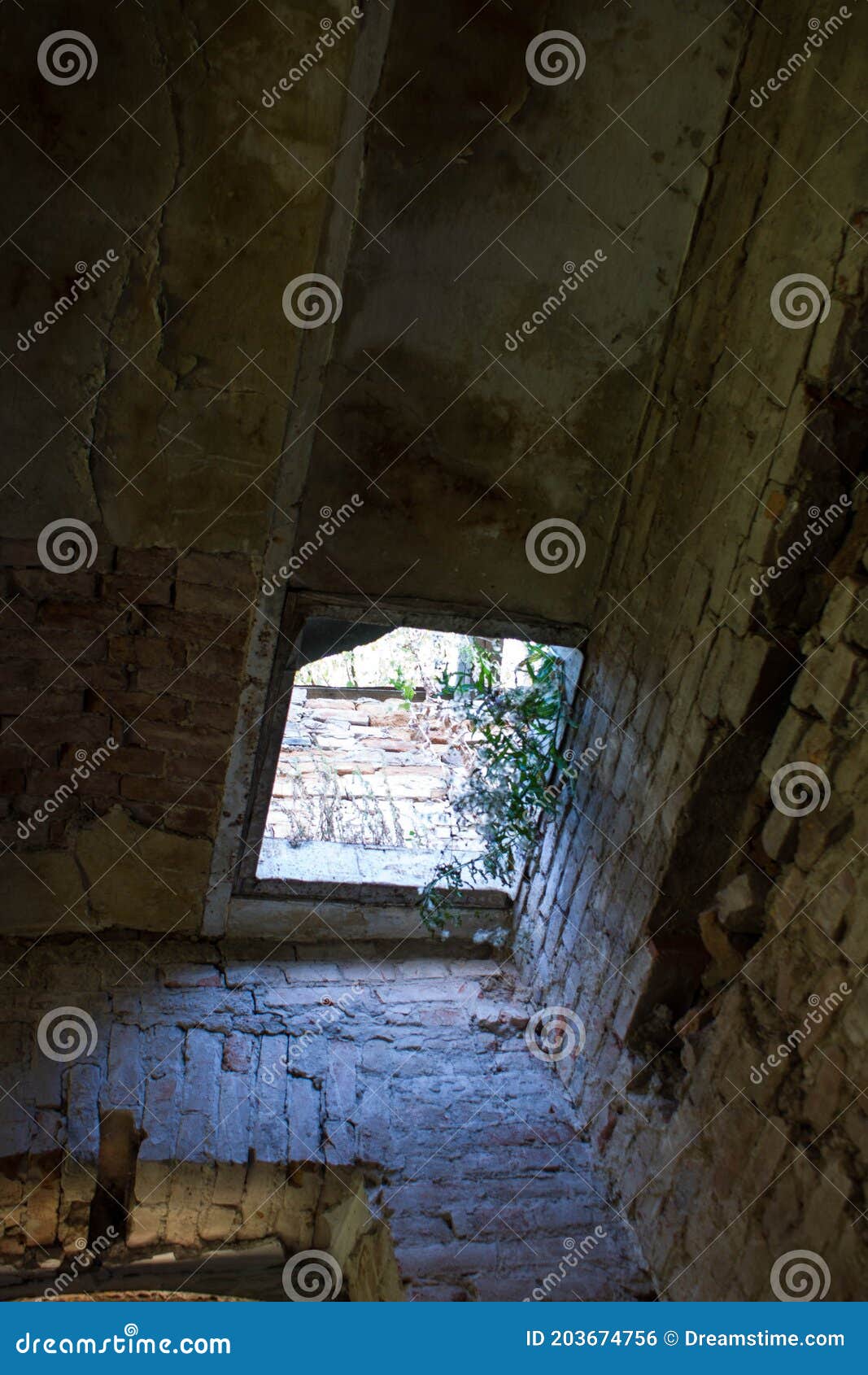 Ruins of an Old House from the Inside Stock Photo - Image of light ...
