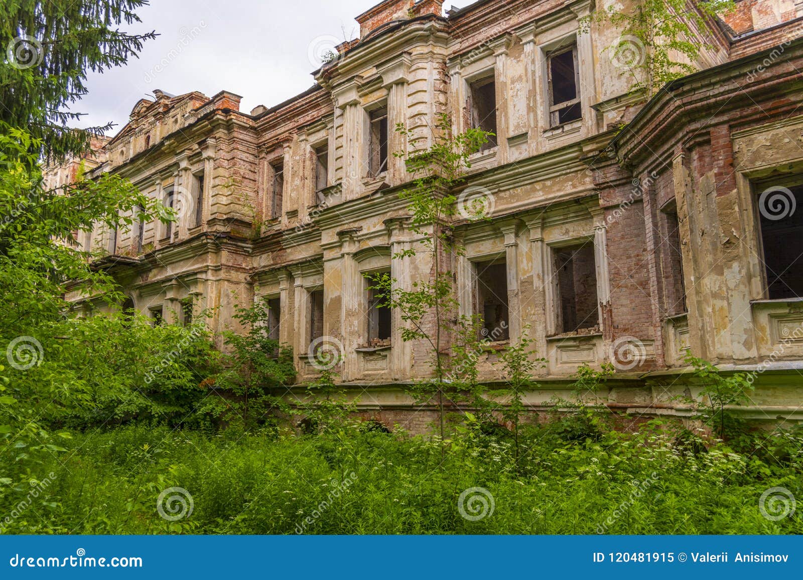 The Ruins of the Old Manor. the Ruins of the Old Palace in the Woods ...