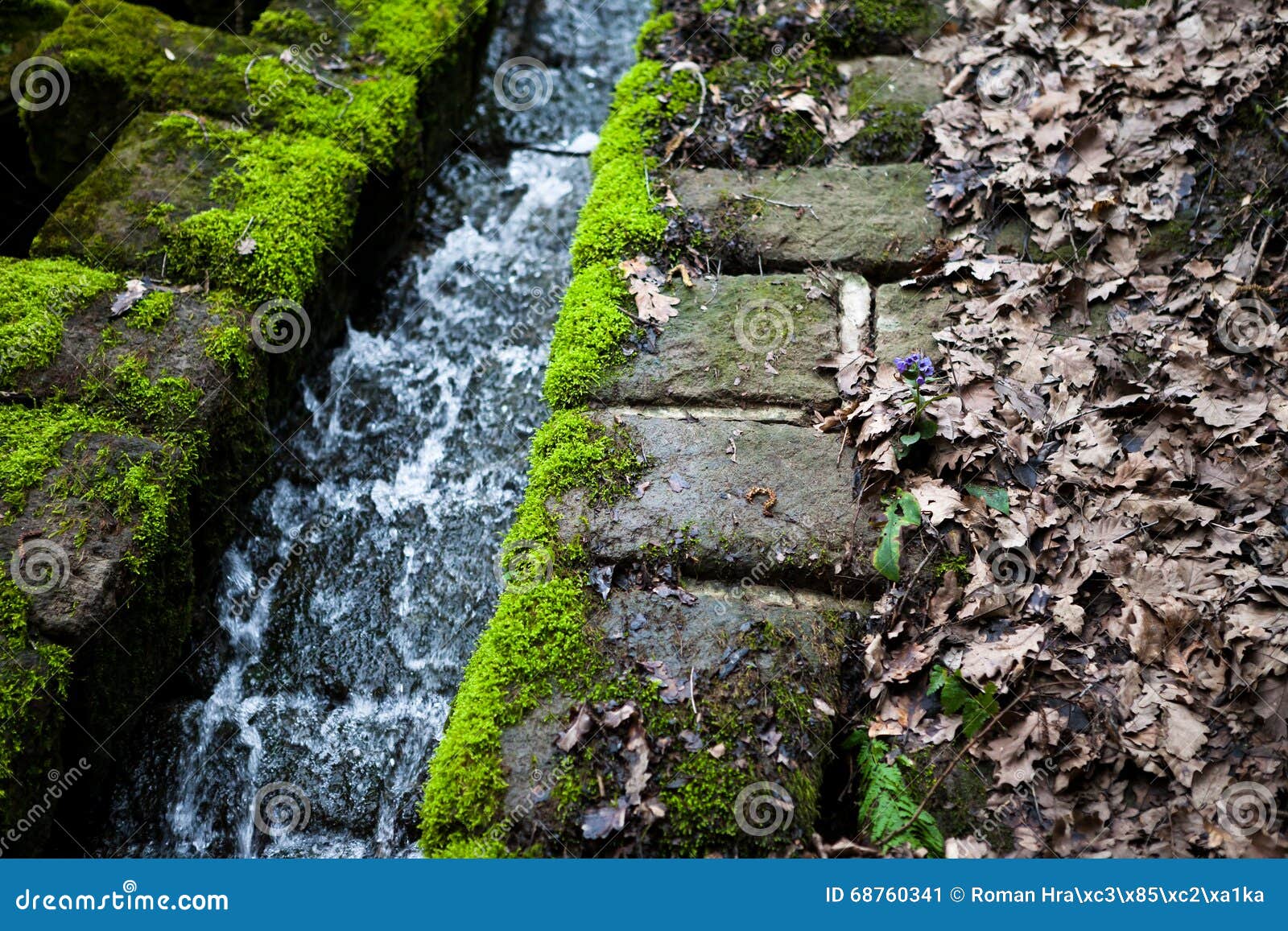 Ruins of an Old Water Cascade Stock Image - Image of fall, purity: 68760341