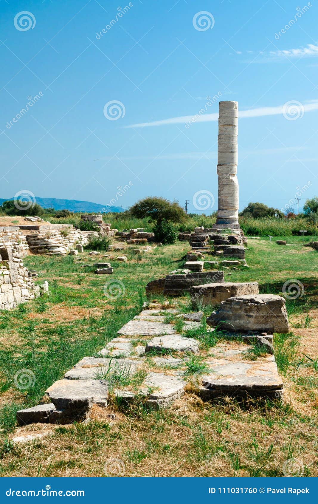 Ruins with one high column stock photo. Image of green - 111031760