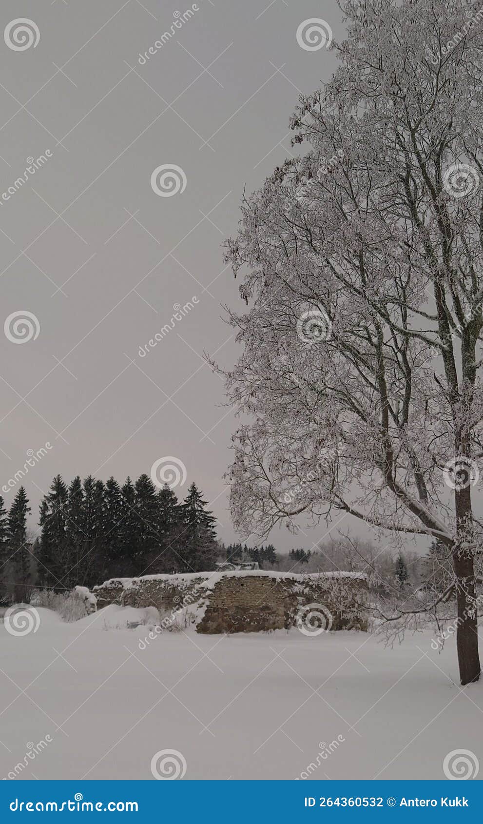 Ruins of Raasiku Vodka Factory Stock Photo - Image of vodka, raasiku ...