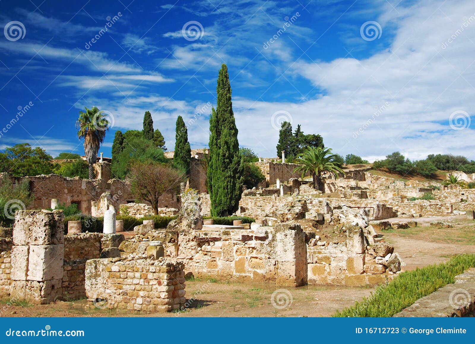 Ruins of Roman Villas in Carthage Stock Image - Image of history, tree ...