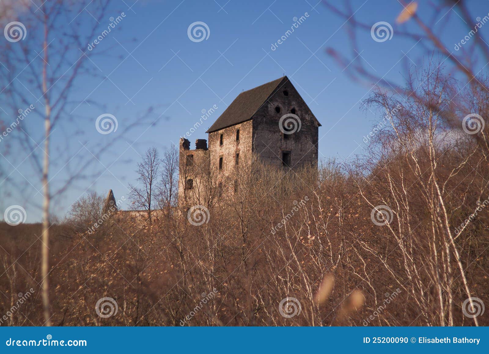 Ruins of Swiny Castle in Poland Stock Photo - Image of ruins, leaves ...