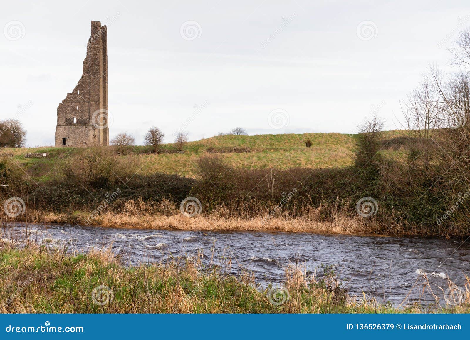 Ruins of Trim castle tower stock image. Image of vegetation - 136526379