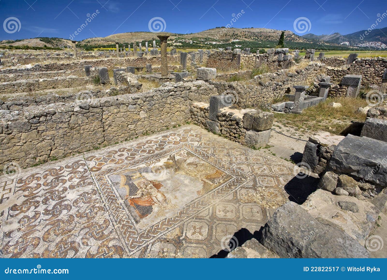 Ruins of Volubilis - Mosaic Stock Image - Image of marble, masonry ...