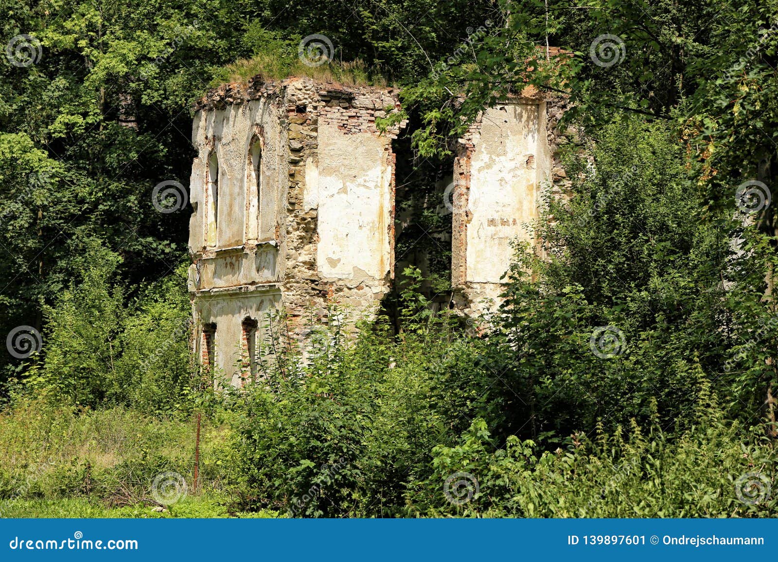 Ruins and Walls of Broken Castle in Bushes Stock Image - Image of ...