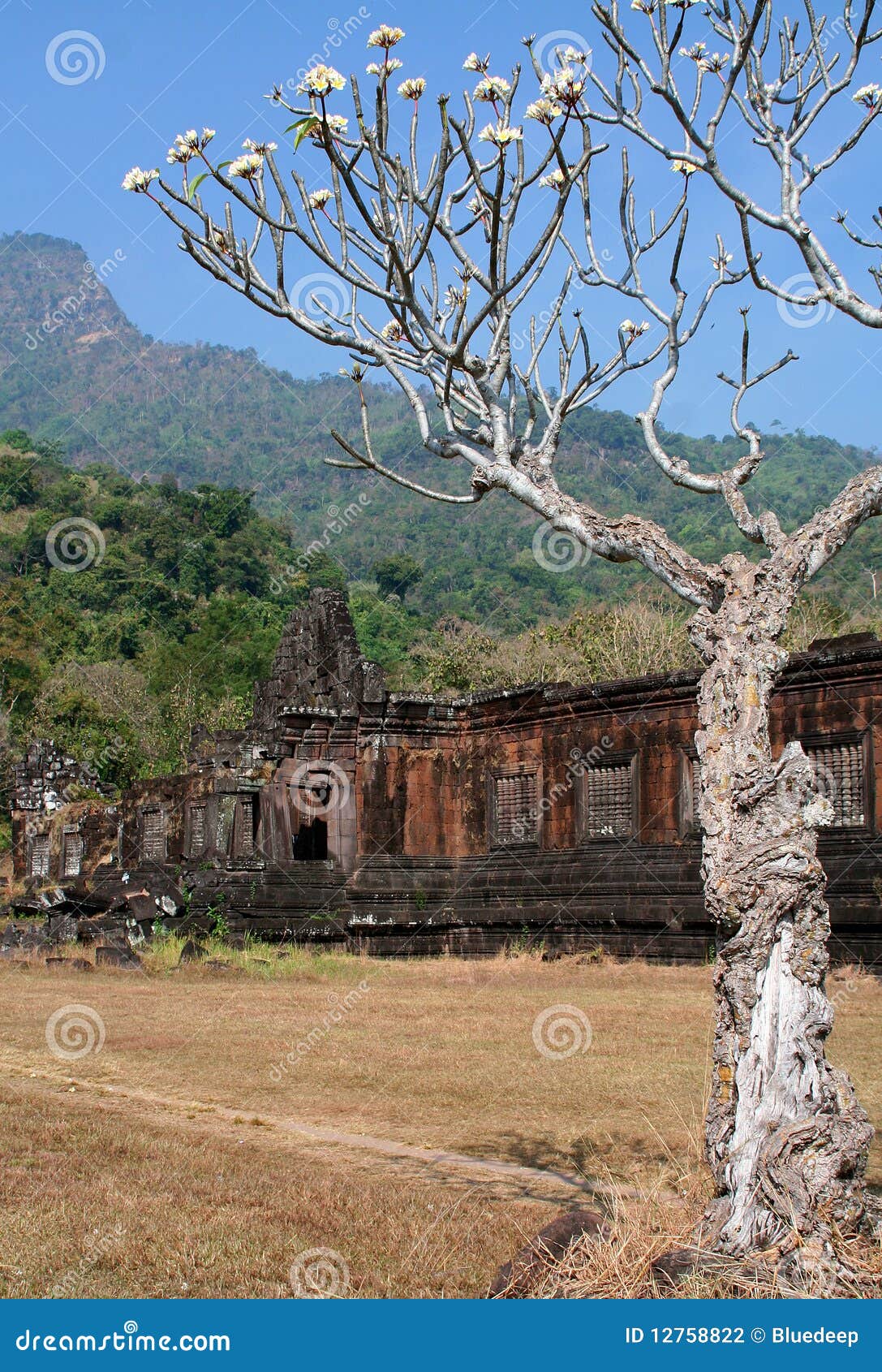 Ruins of the Wat Phu Temple Laos Stock Photo - Image of architecture ...