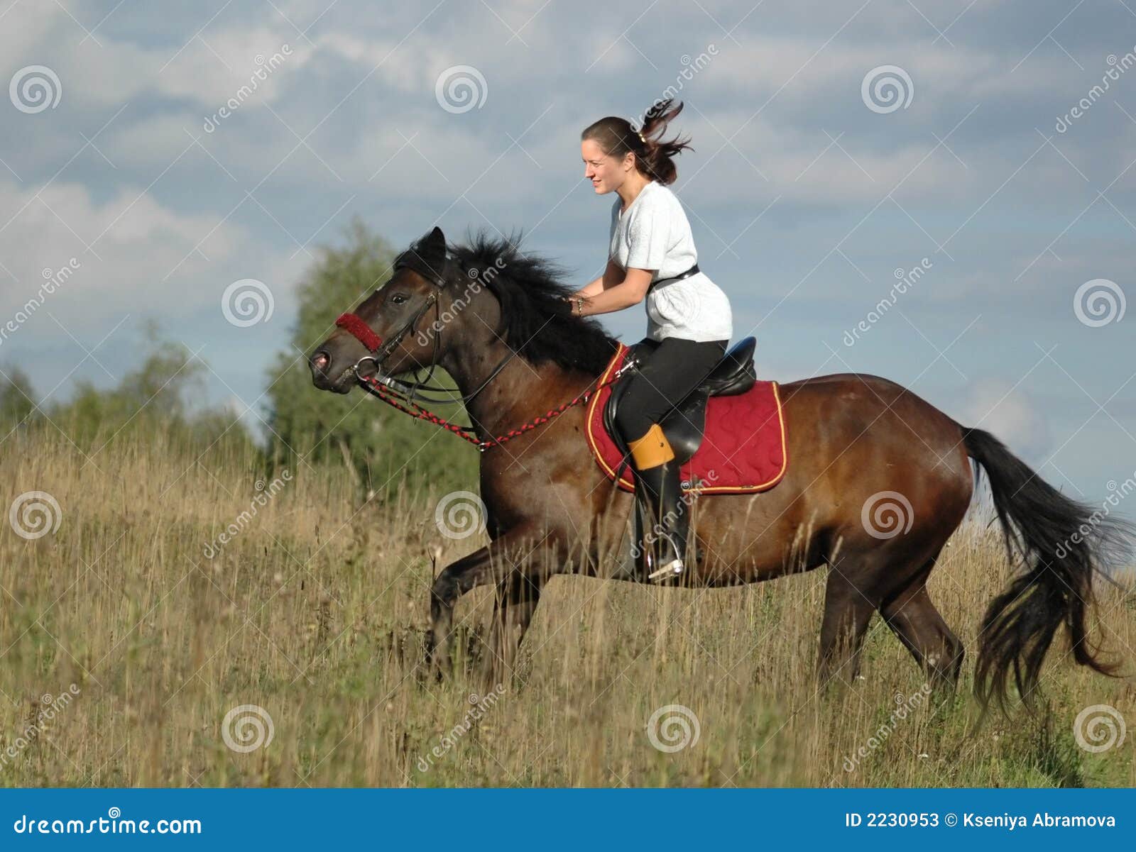 Ruiter en paard stock afbeelding. Image of hengst, levensstijl - 2230953