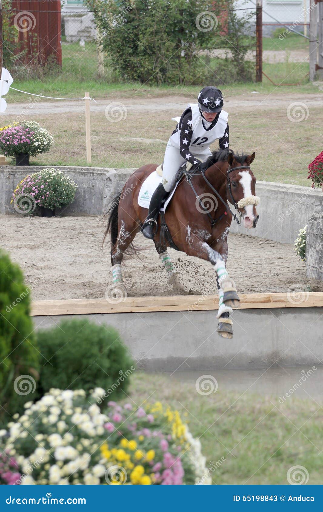 Ruiter en paard redactionele stock foto. Image of demonstratie - 65198843