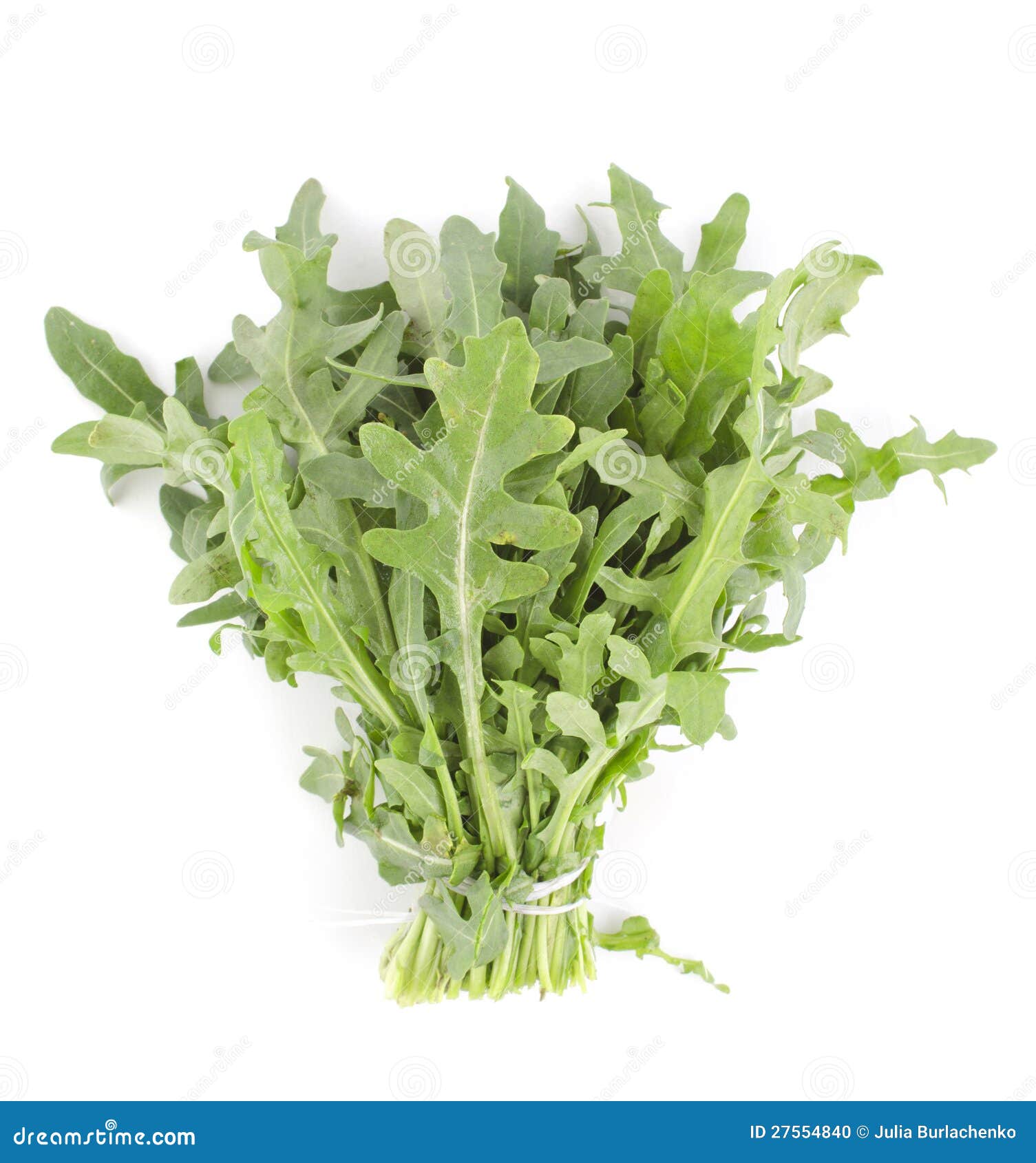 Rukola stock photo. Image of plant, refreshment, dietary - 27554840