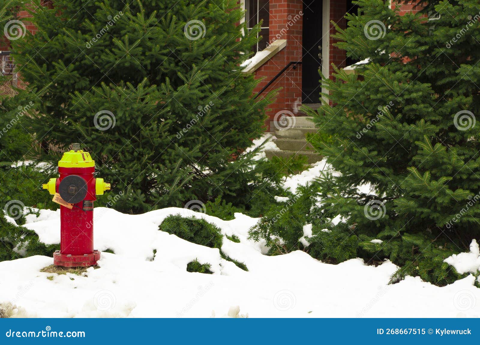Fire Hydrant stock image. Image of plant, hydrant, shrub - 268667515