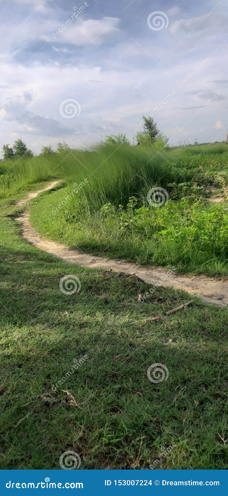 Ruler Area Grass Field Stock Photos - Free & Royalty-Free Stock Photos ...