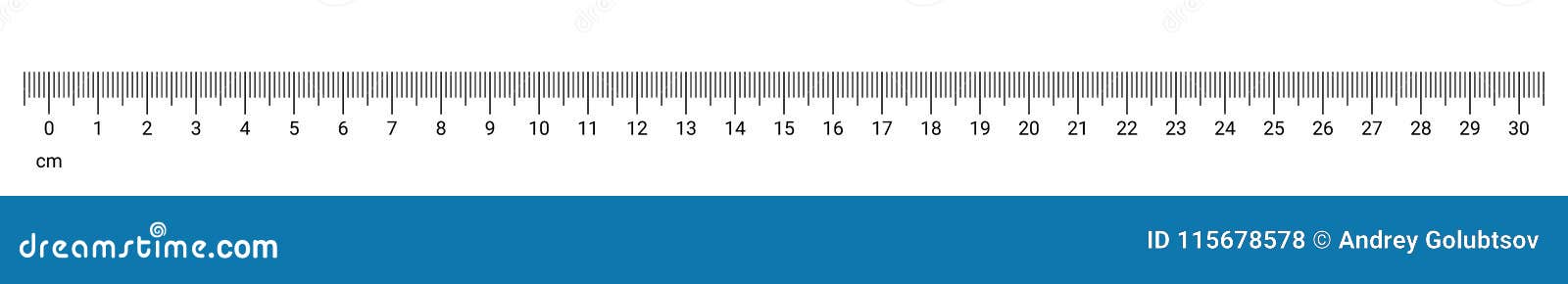 Ruler Cm Measurement Numbers Vector Scale | CartoonDealer.com #123974591