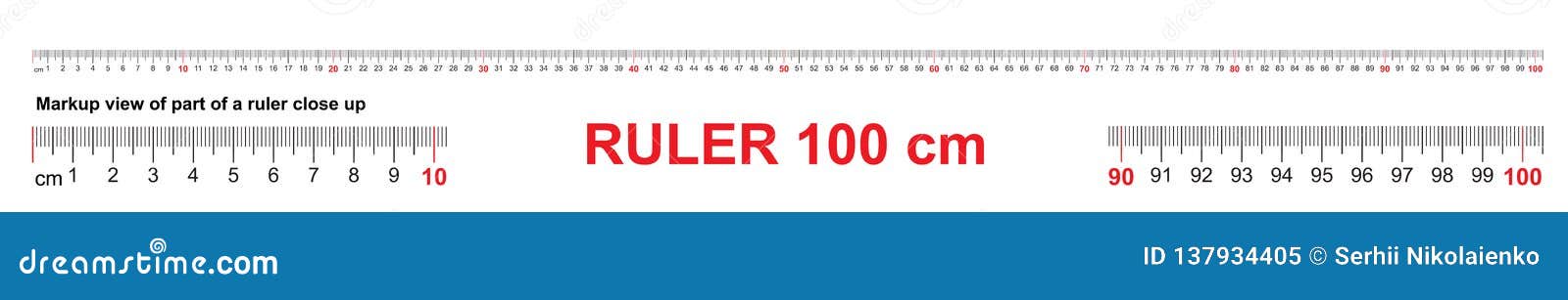 Ruler 100 Cm. Precise Measuring Tool. Ruler Scale 1 Meter. Ruler Grid ...