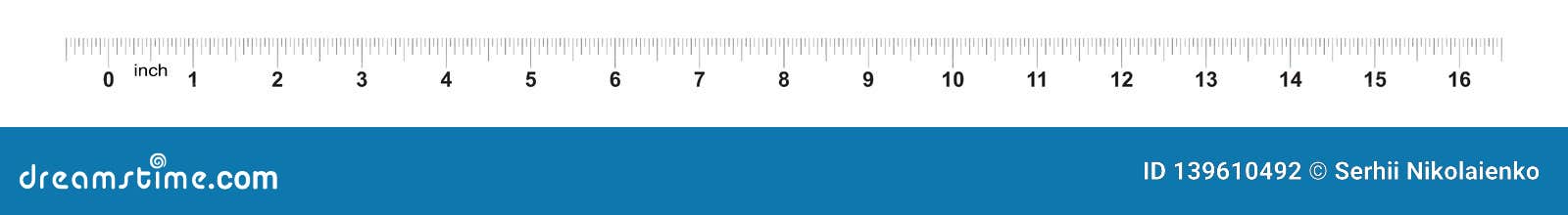 Ruler 16 Inches. Metric Inch Size Indicator. Decimal System Grid Stock ...