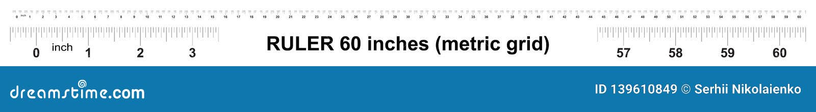Ruler 60 Inches. Metric Inch Size Indicator. Decimal System Grid Stock ...